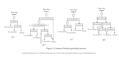 The Choice of Flotation Principle Process - JXSC Mining